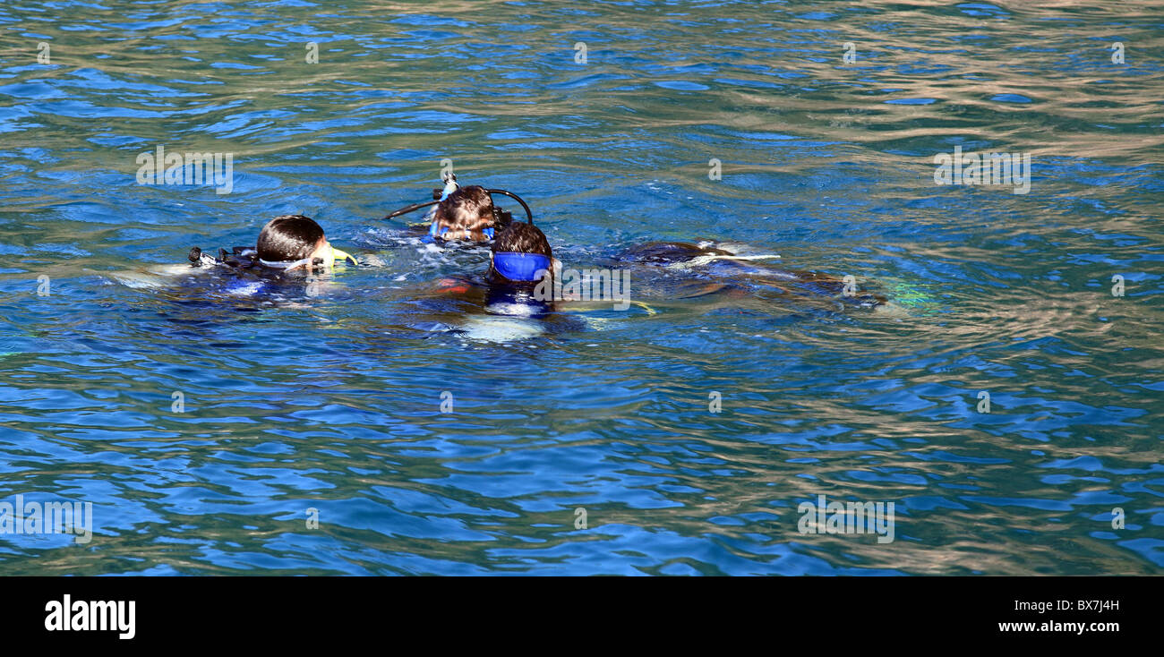 Submerge hi-res stock photography and images - Alamy