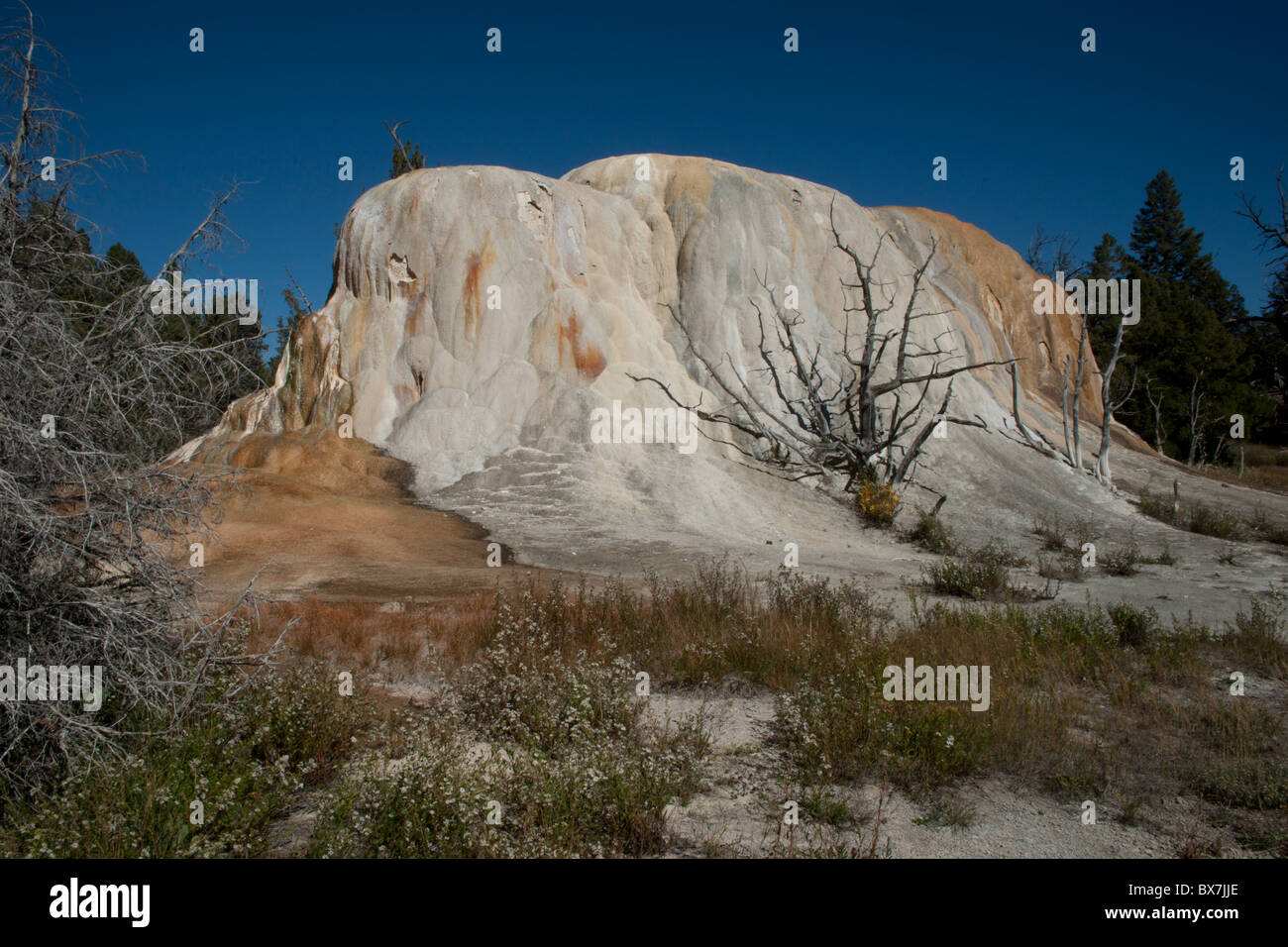 Orange Spring Mound at Mammoth Hot Springs, Yellowstone National Park ...