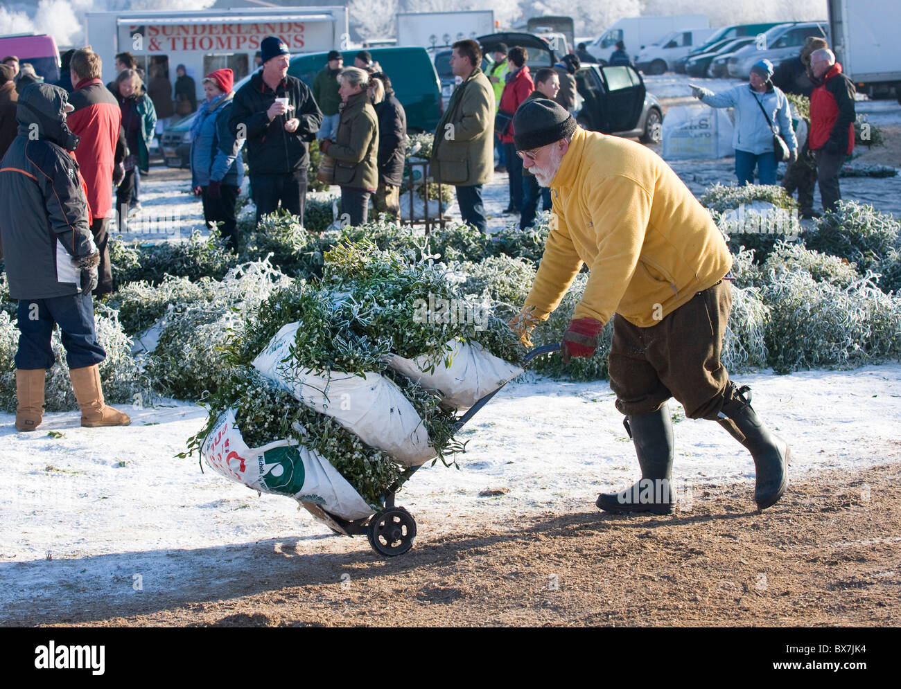 Tenbury Wells annual Christmas Mistletoe and Holly Auction Stock Photo ...