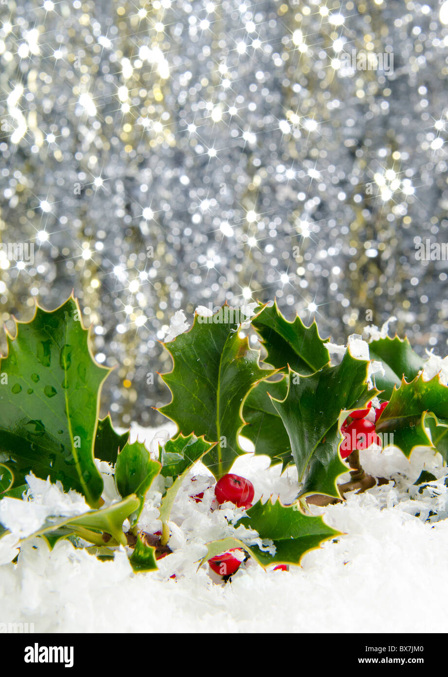 Holly in snow with sparkling background Stock Photo - Alamy