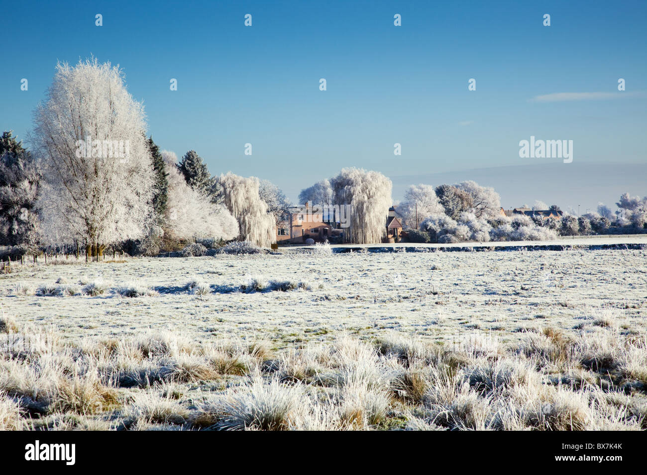 Hoar Frost A Winter Wonderland The River Ouse A Very Cold Morning Hoar ...