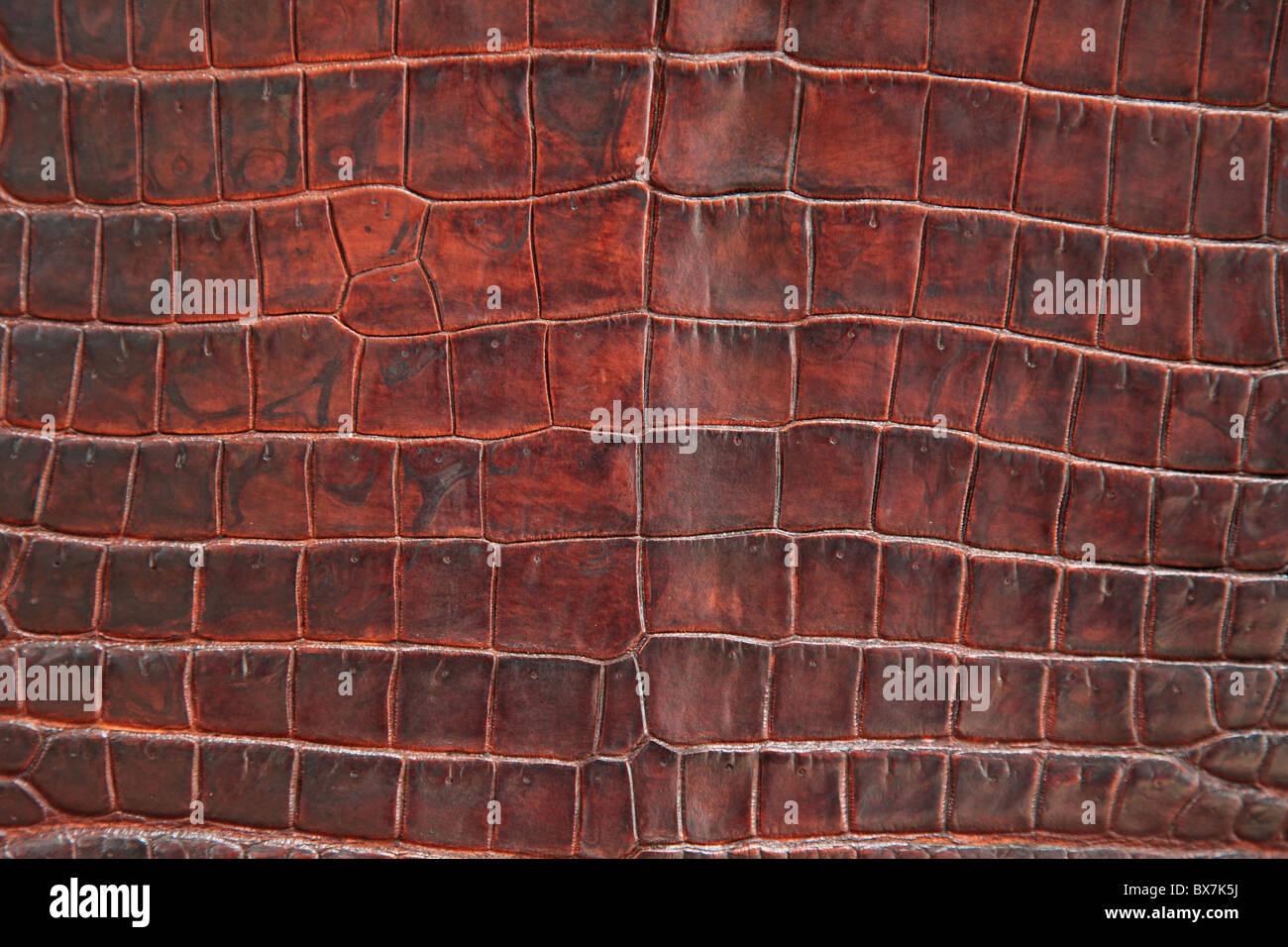 Background texture of fine crocodile leather Stock Photo - Alamy