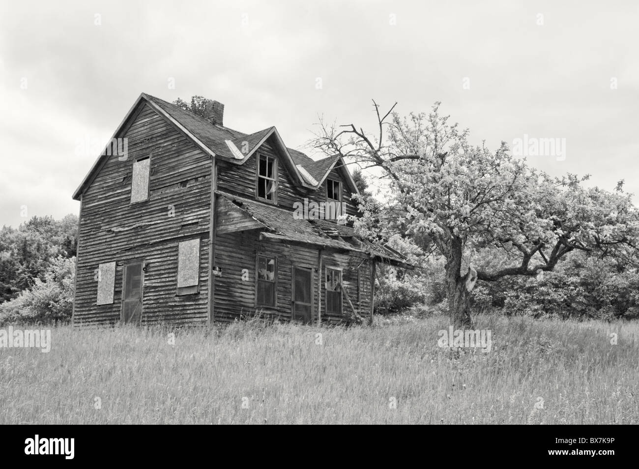 Abandoned farm house haunted and gone to ruin, done in black and white ...