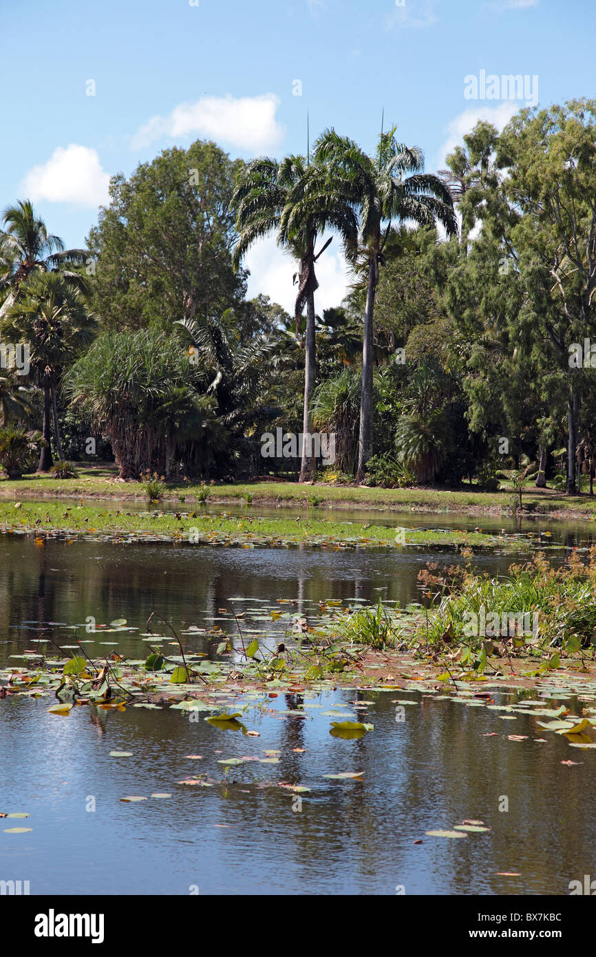 Pond in tropical climate Stock Photo - Alamy