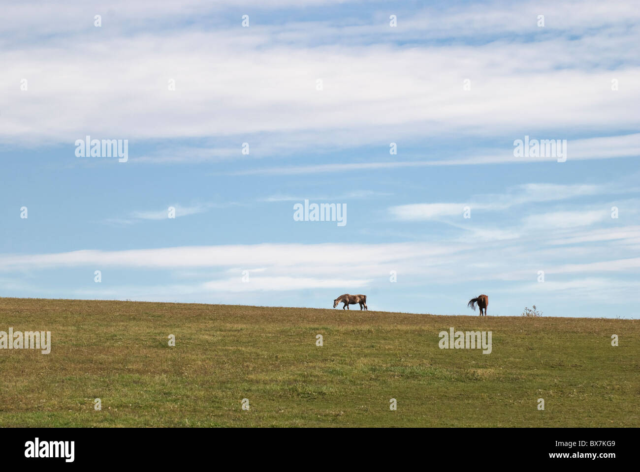 Big blue open sky hi-res stock photography and images - Alamy