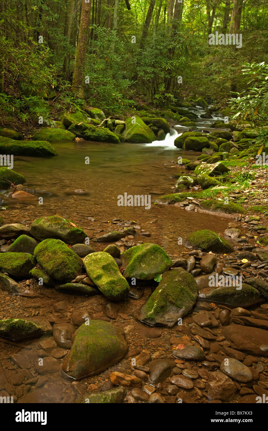 Cosby Creek, Great Smoky Mountains National Park, TN Stock Photo - Alamy