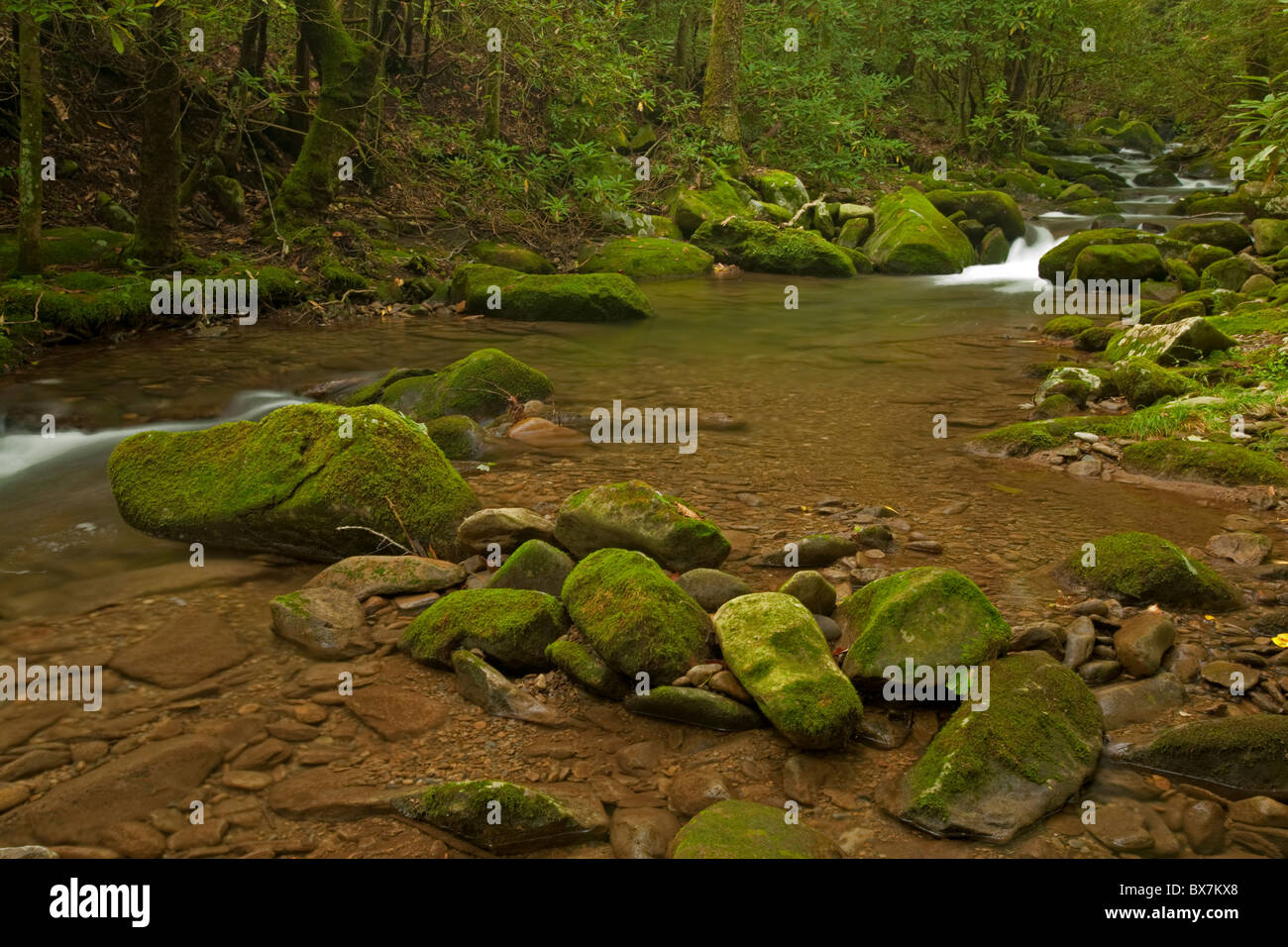 Cosby Creek, Great Smoky Mountains National Park, TN Stock Photo - Alamy