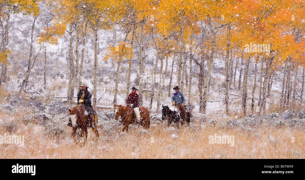 Cowboys riding horses in snow hi-res stock photography and images - Alamy