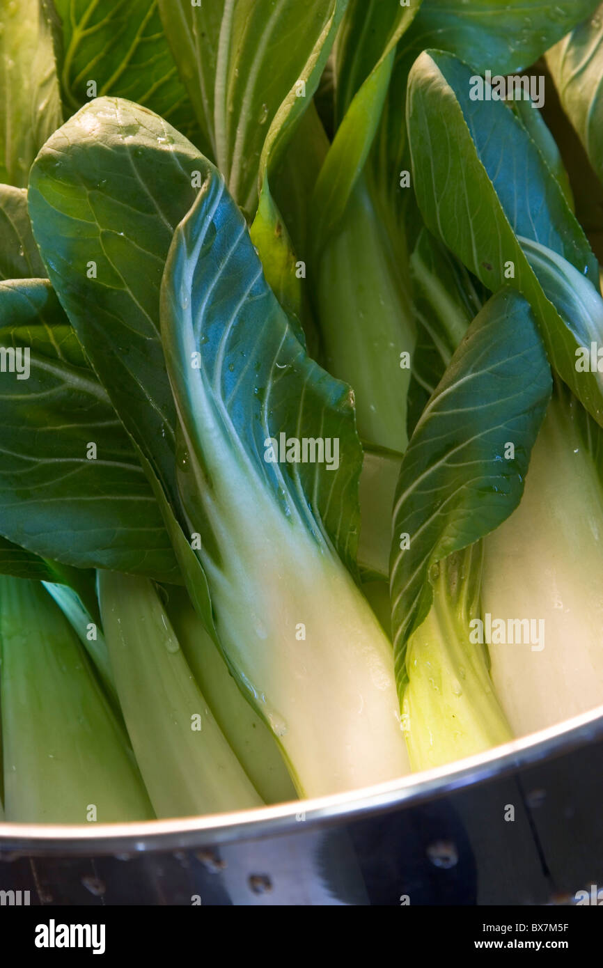 Raw Pak Choi in colander Stock Photo - Alamy