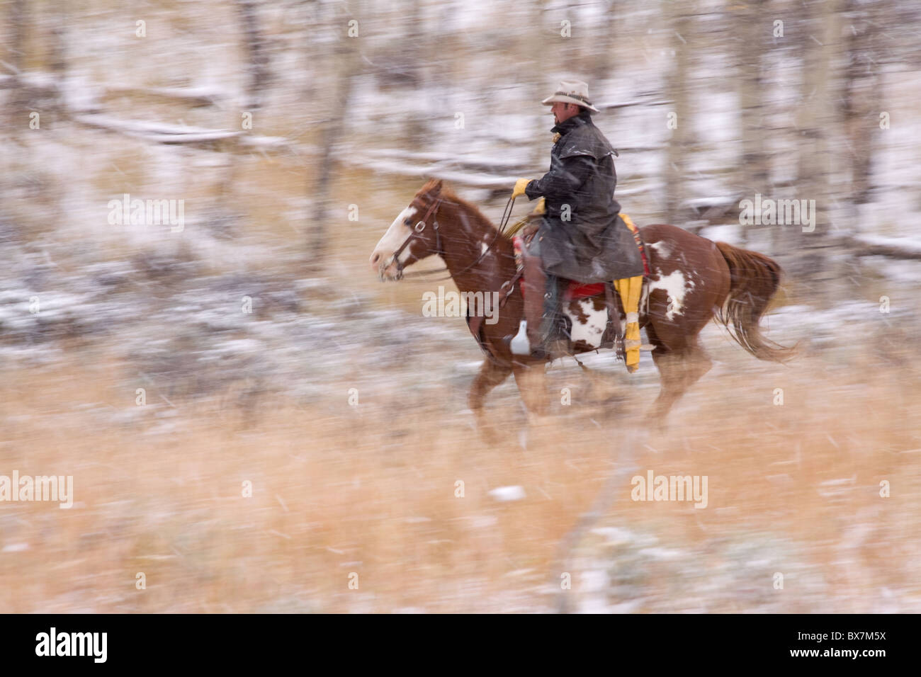 Cowboy riding through woods in the snow Stock Photo - Alamy