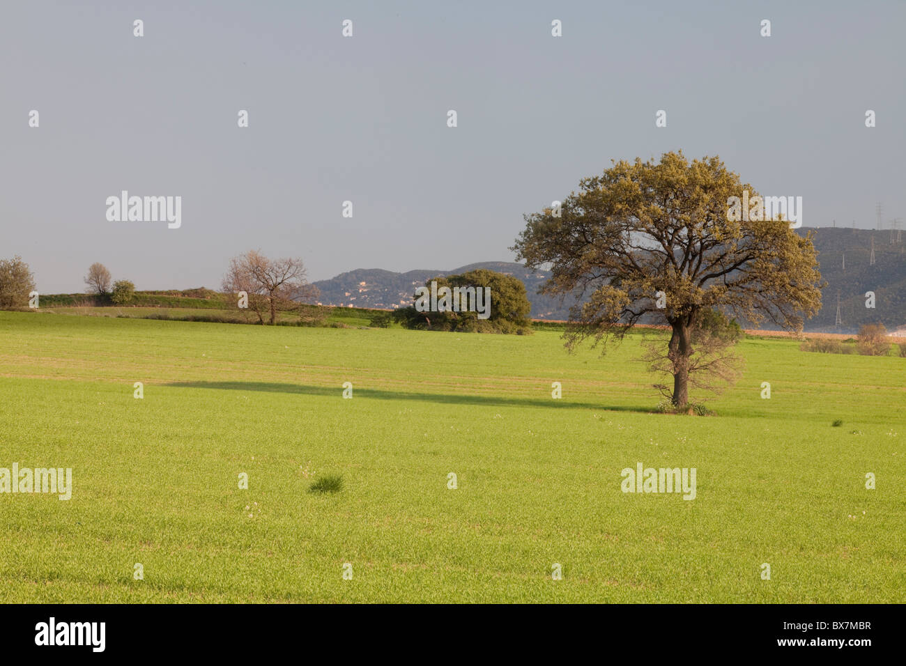 Els Gallecs, Natural Reserve, Mollet del Vallés Vallés Oriental ...