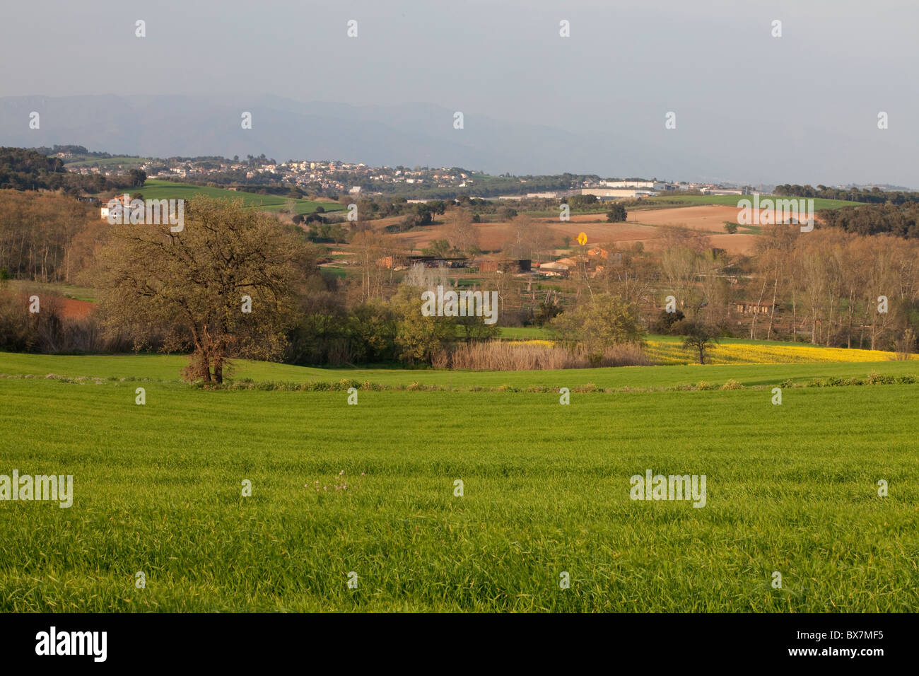 Mollet hi-res stock photography and images - Alamy