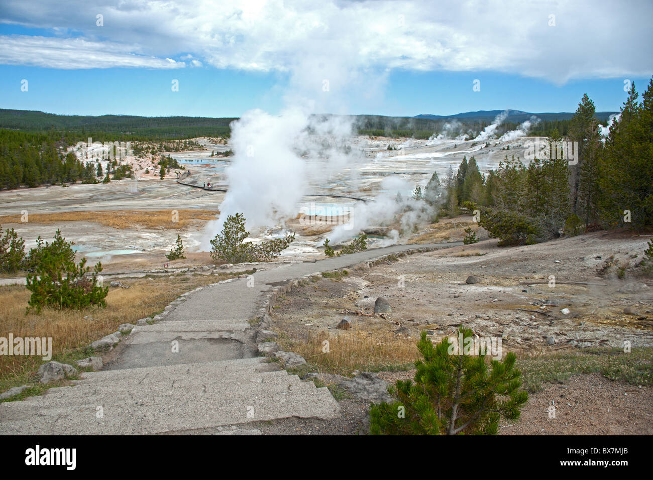 300 million years old hi-res stock photography and images - Alamy