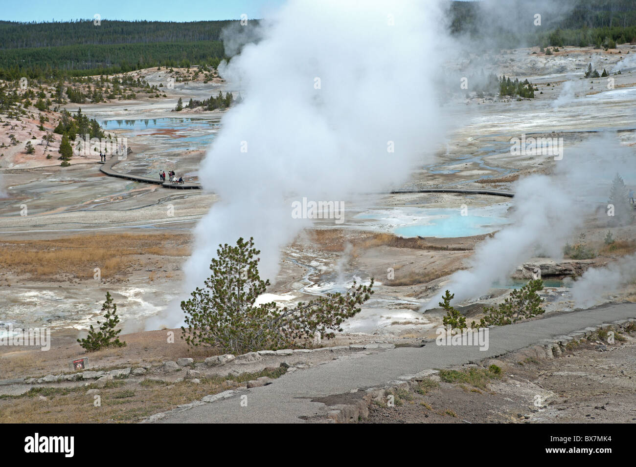 300 million years old hi-res stock photography and images - Alamy
