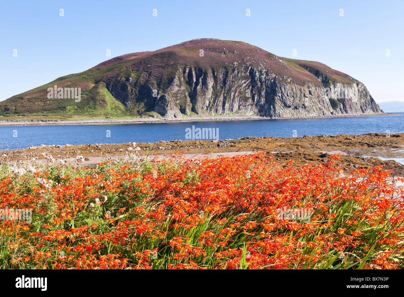 Davaar Island at the mouth of Campbeltown Loch seen across Kildalloig ...