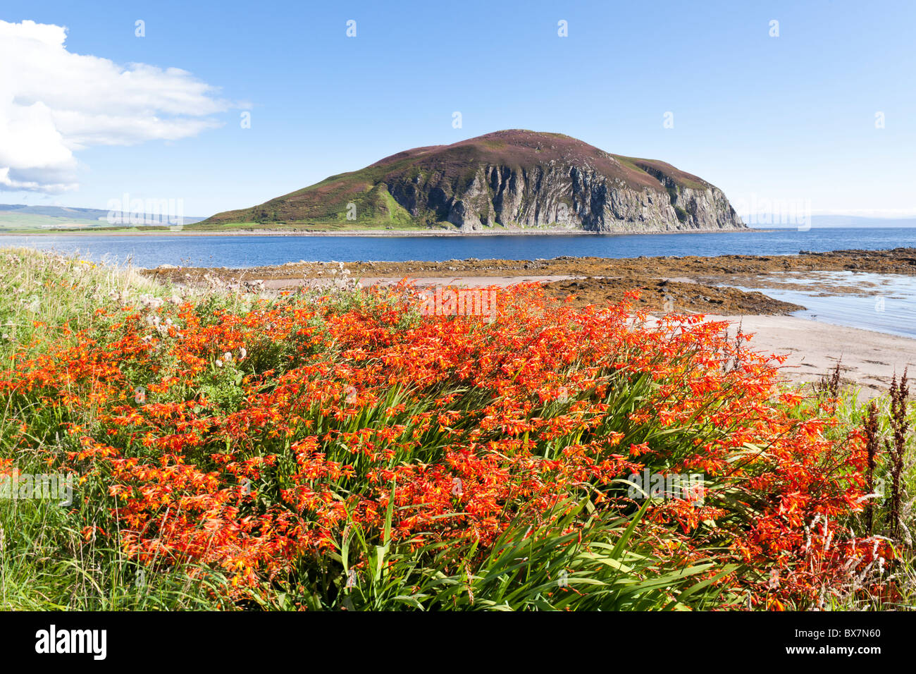 Davaar Island at the mouth of Campbeltown Loch seen across Kildalloig ...