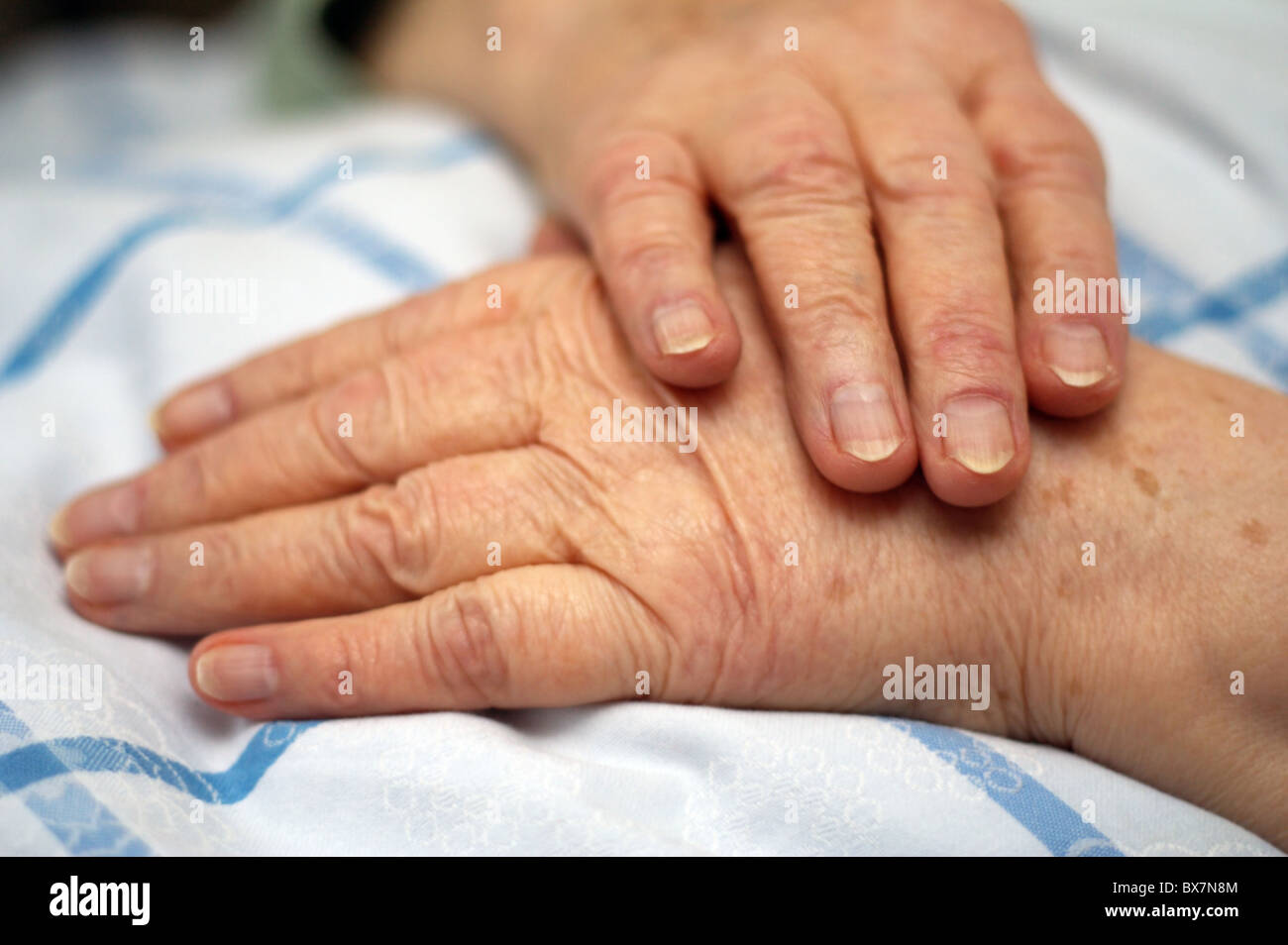 Old wrinkled hands of an elderly person Stock Photo - Alamy