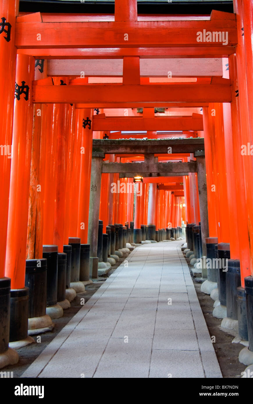 path through Torii gates at Fushimi Inari shrine - Kyoto, Japan Stock ...