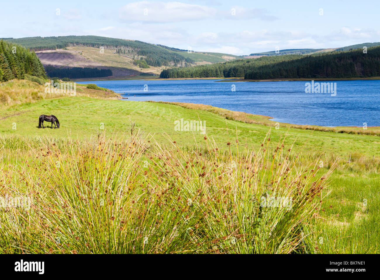 Lussa Loch on the Kintyre Peninsula. Argyll & Bute, Scotland UK Stock ...