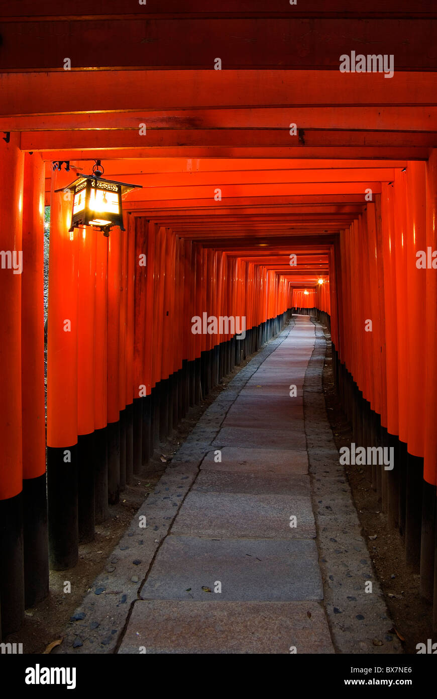 path through Torii gates at Fushimi Inari shrine - Kyoto, Japan Stock ...