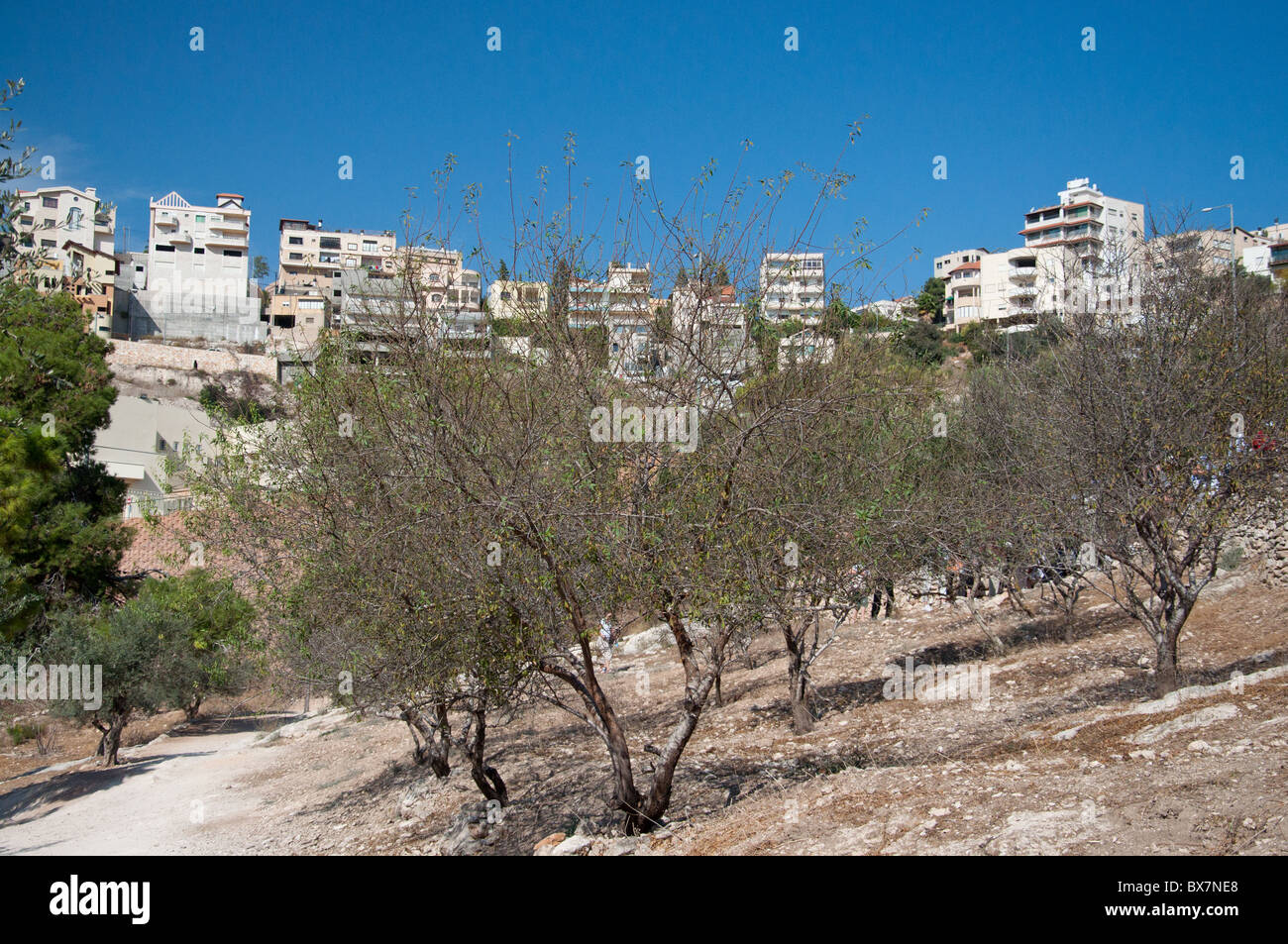 Modern nazareth hi-res stock photography and images - Alamy