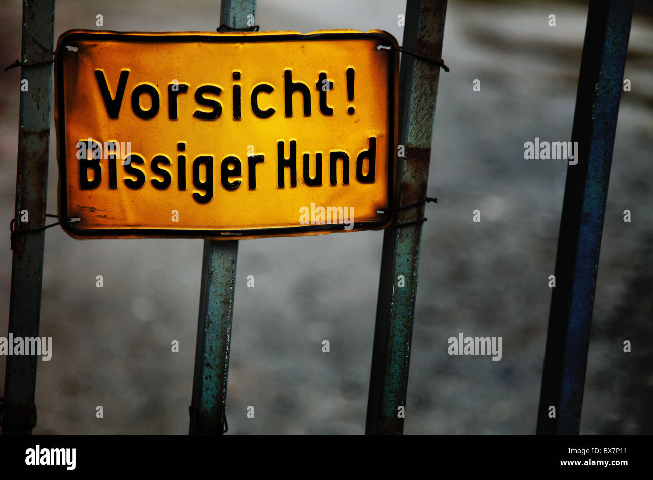 Scary dog hi-res stock photography and images - Alamy