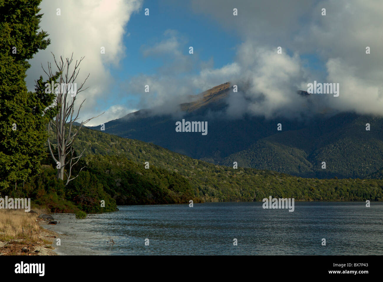 Manapouri Lake, South Island New Zealand Stock Photo - Alamy