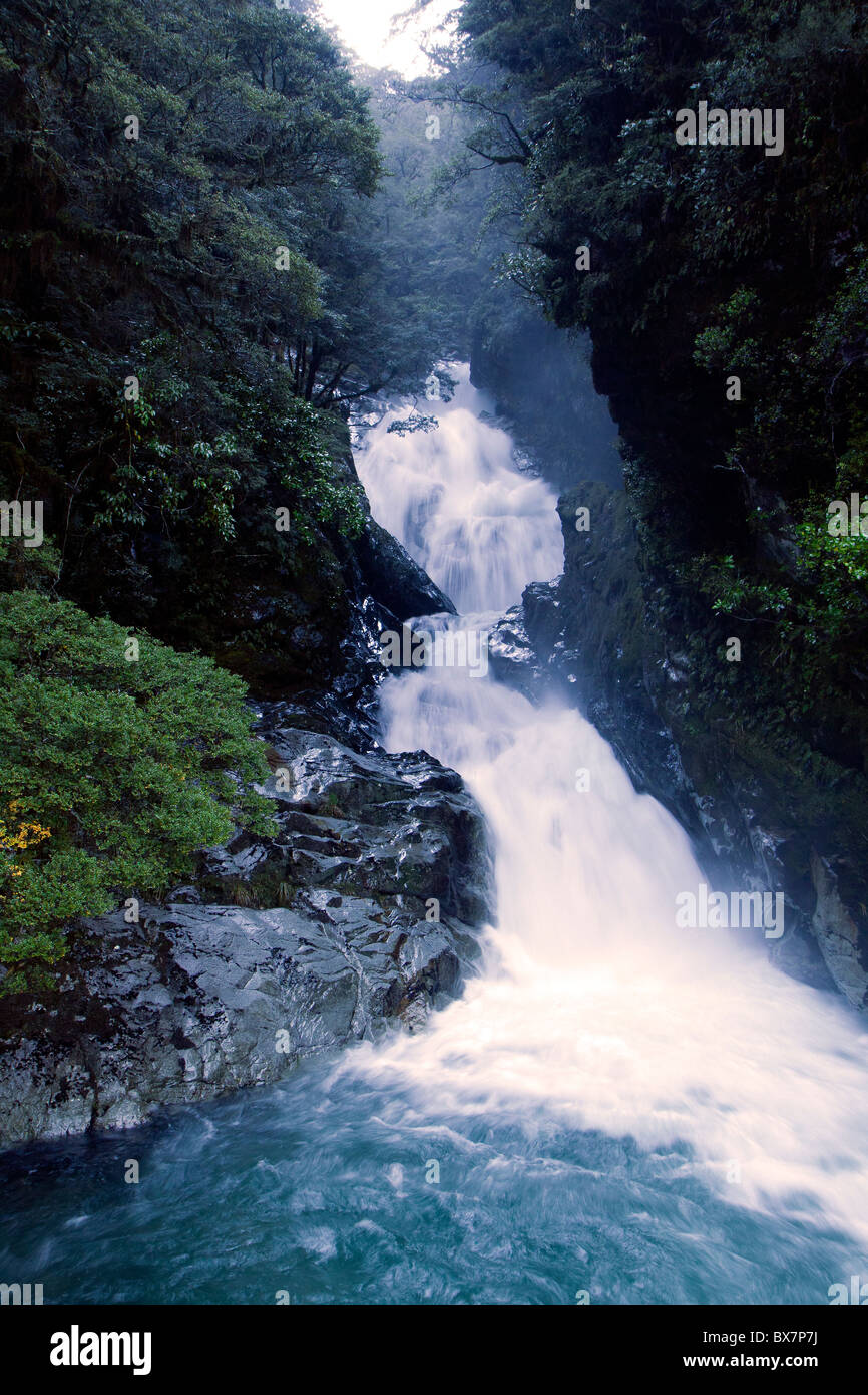 Christie Waterfalls, otherwise known as Falls Creek Falls Stock Photo ...