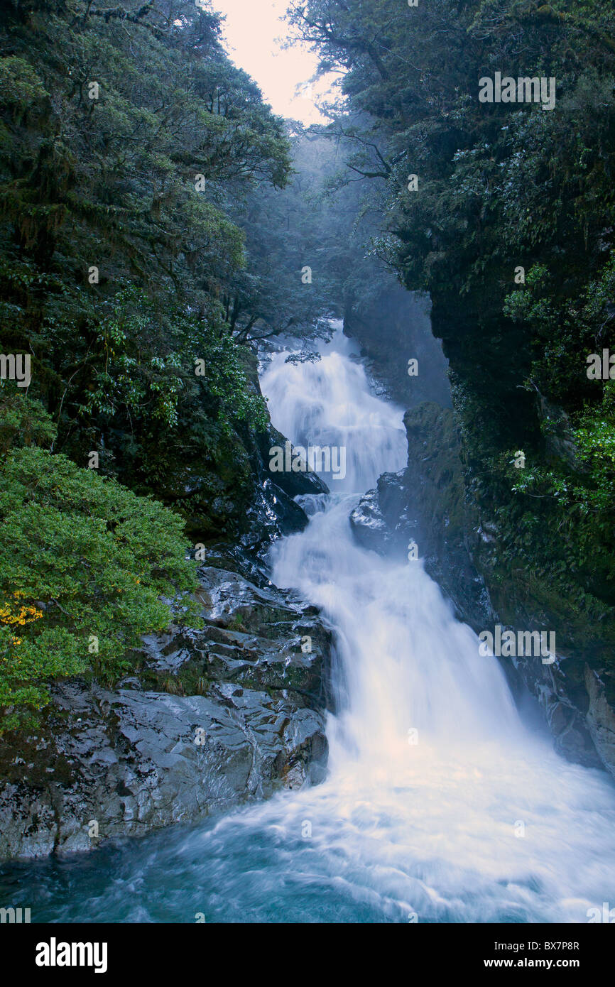 Christie Waterfalls, otherwise known as Falls Creek Falls Stock Photo ...