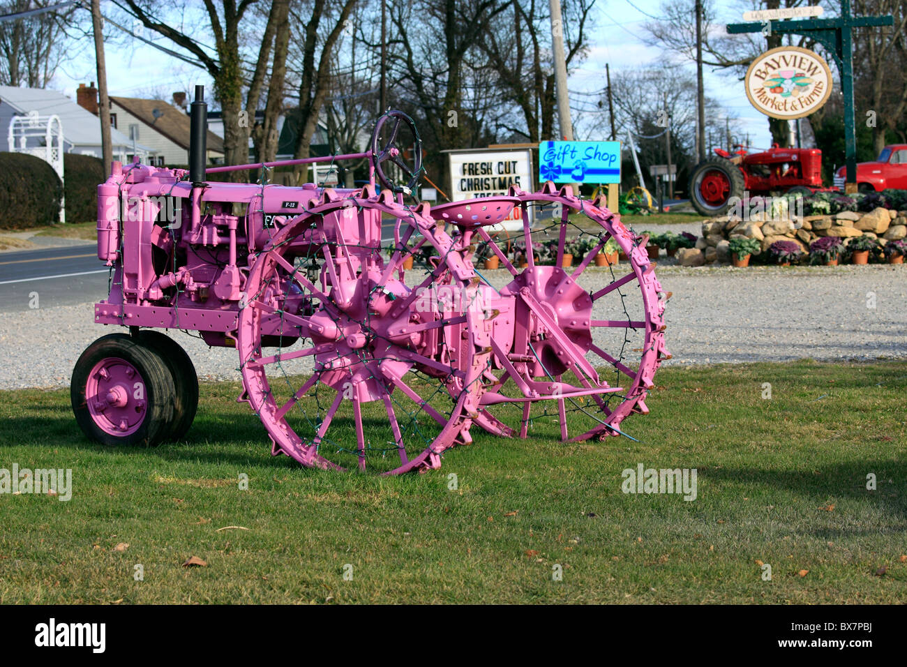 Pink farm hi-res stock photography and images - Alamy