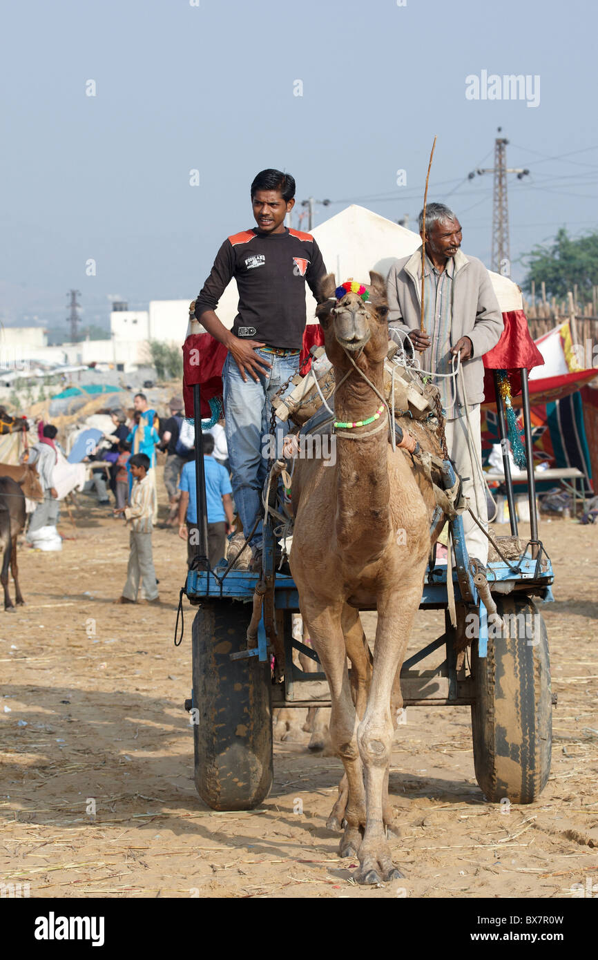 Two Indian men riding camel drawn cart Stock Photo - Alamy