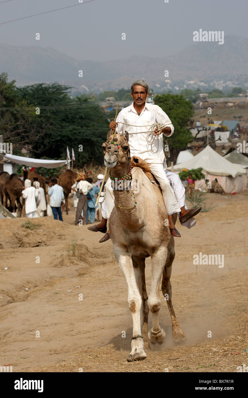 Man riding camel hi-res stock photography and images - Alamy