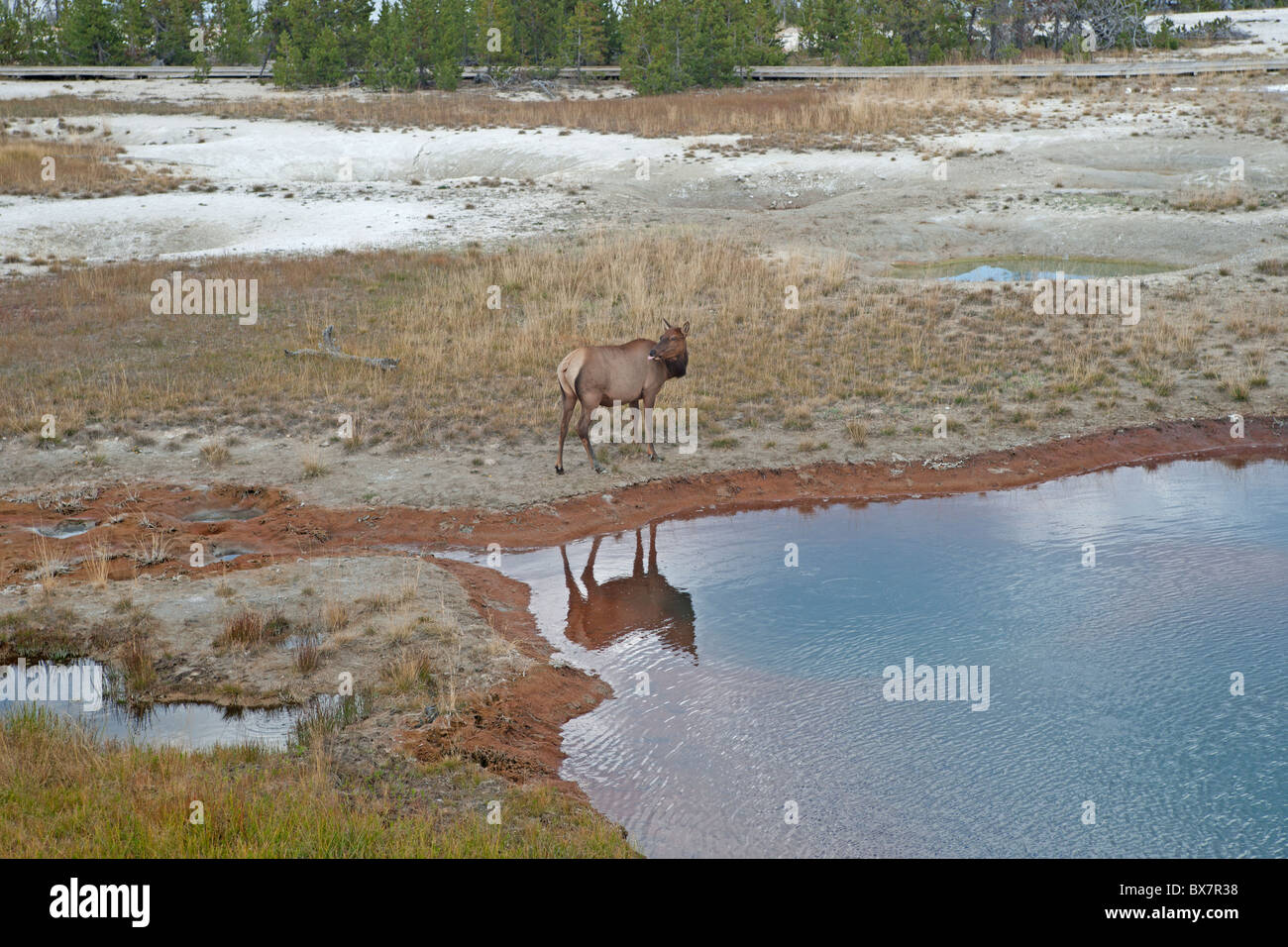 Top attractions at yellowstone national park hi-res stock photography ...