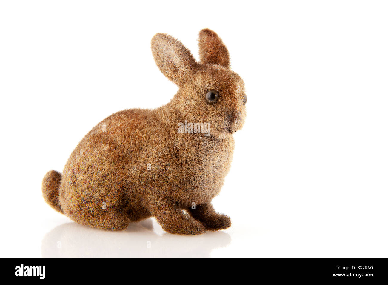 Easter hare hi-res stock photography and images - Alamy