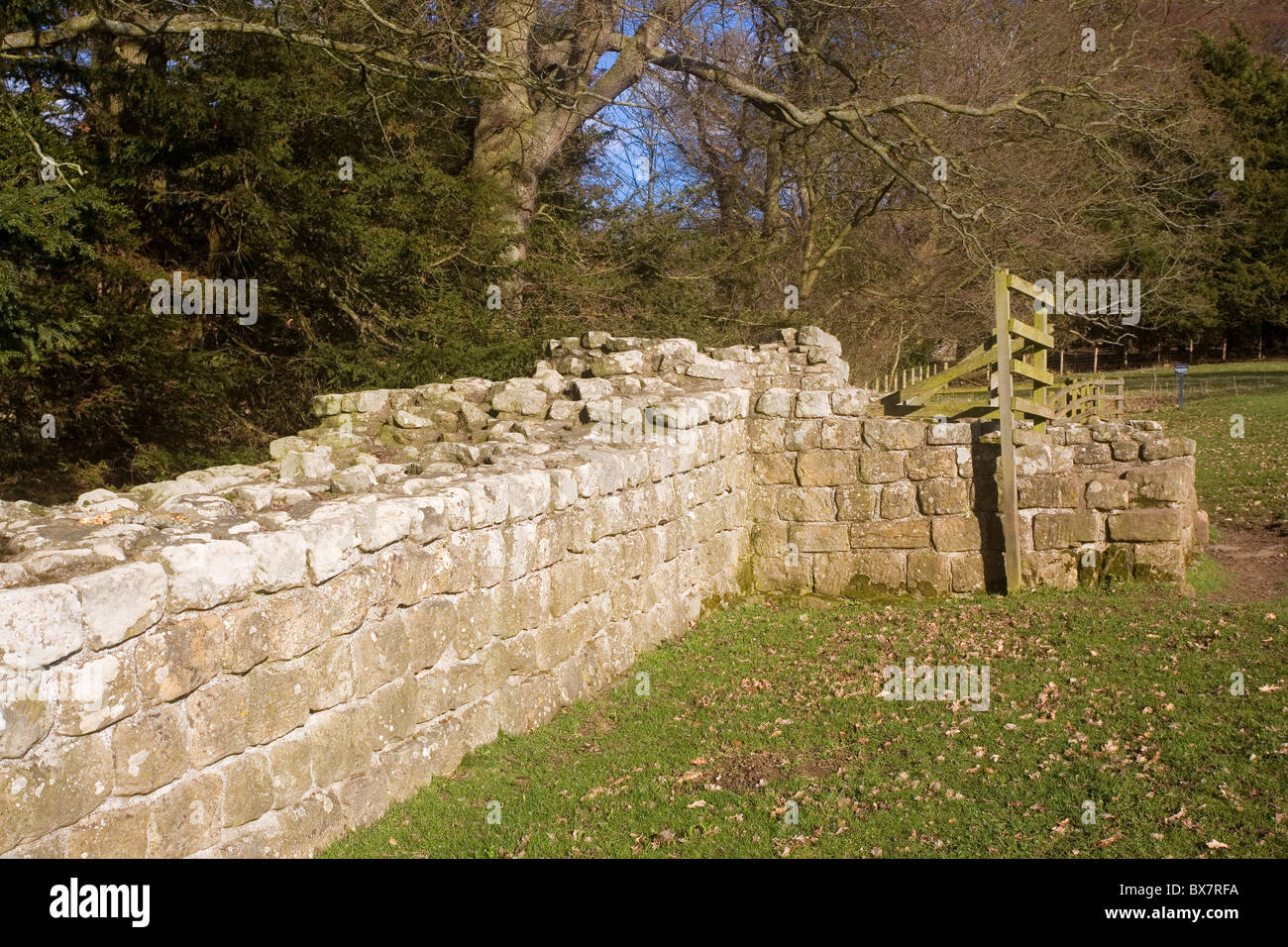 Brunton Turret, Hadrian's Wall, Northumberland, England Stock Photo - Alamy