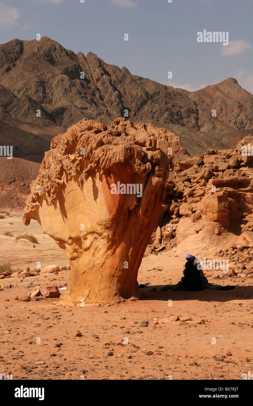 Carved mushroom hi-res stock photography and images - Alamy