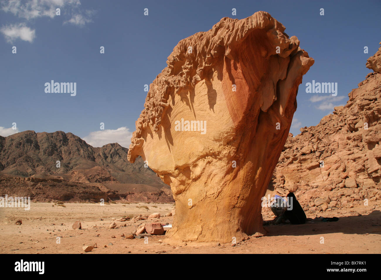 The wind-carved Mushroom rock, in the desert on the Sinai Peninsular ...