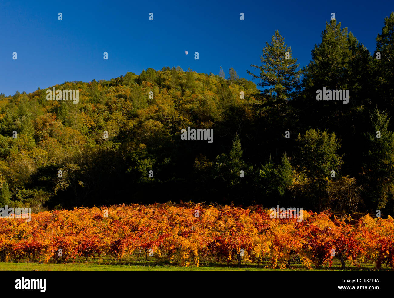 Napa fall hi-res stock photography and images - Alamy