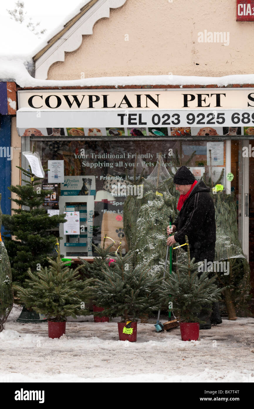 English shopkeeper hi-res stock photography and images - Alamy
