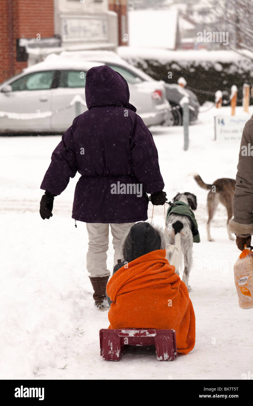Dog pulling children on sled hi-res stock photography and images - Alamy