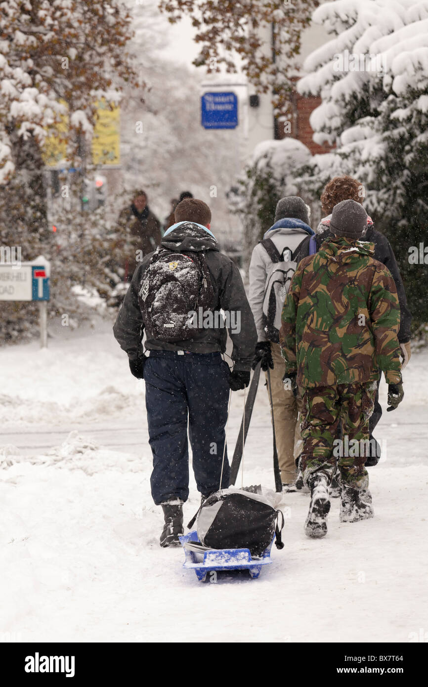 group of boys dragging sled in snow to go shopping walking away Stock ...