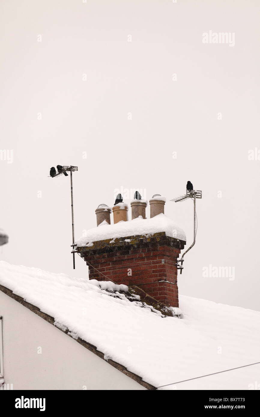 English roof with chimney and antenna hi-res stock photography and ...