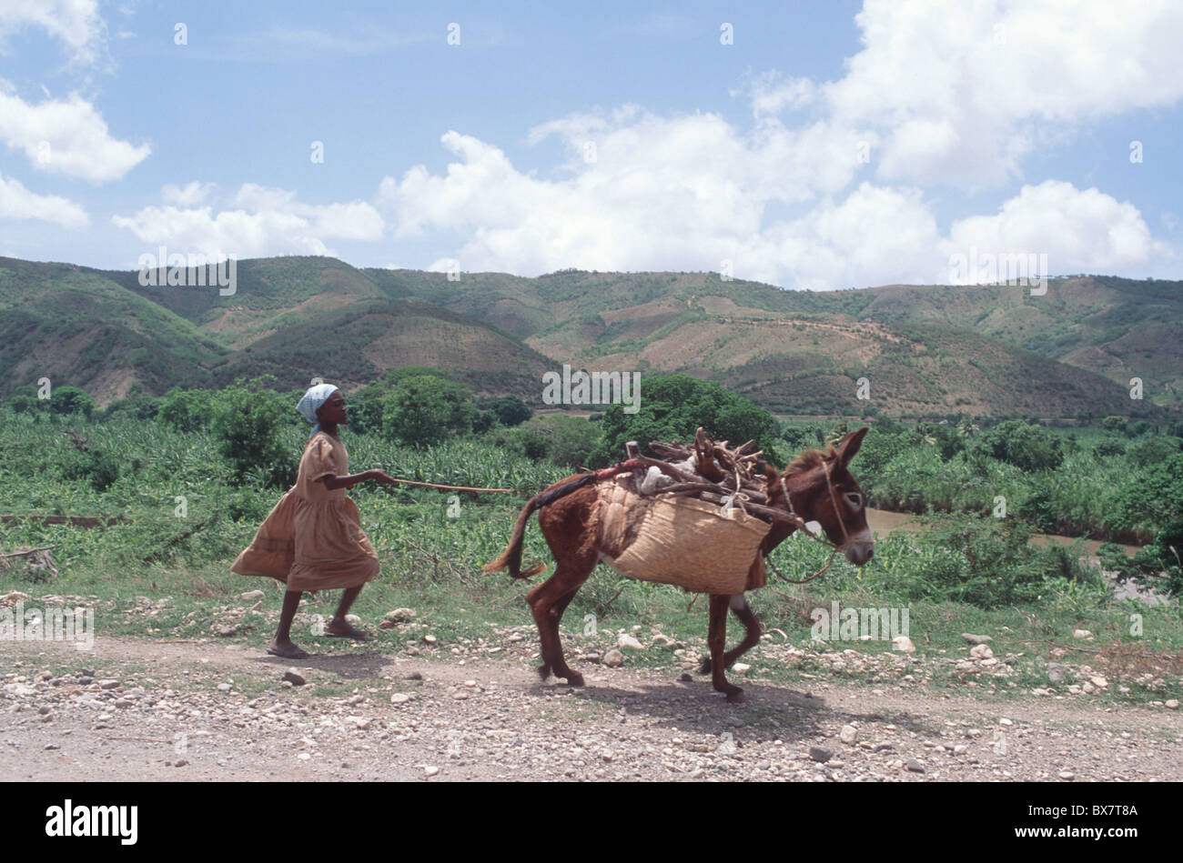 HAITI. WOMAN AND DONKEY CARRYING TIMBER IN ANTIBONITE Stock Photo - Alamy