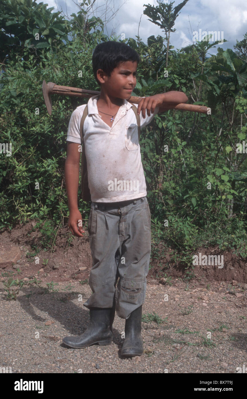 HONDURAS. BOY WORKING IN PLANTATION Stock Photo - Alamy