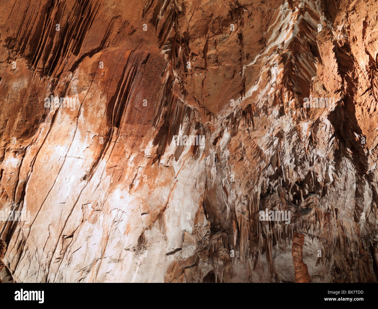 Manita pec hi-res stock photography and images - Alamy