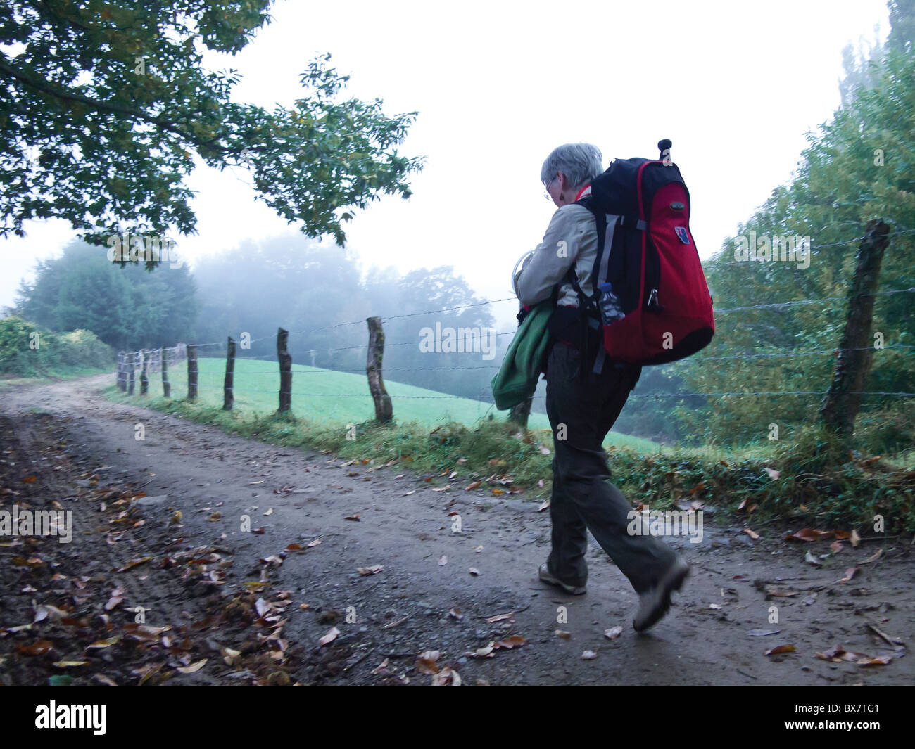 Pilgrim walking the Camino de Santiago, Spain Stock Photo - Alamy
