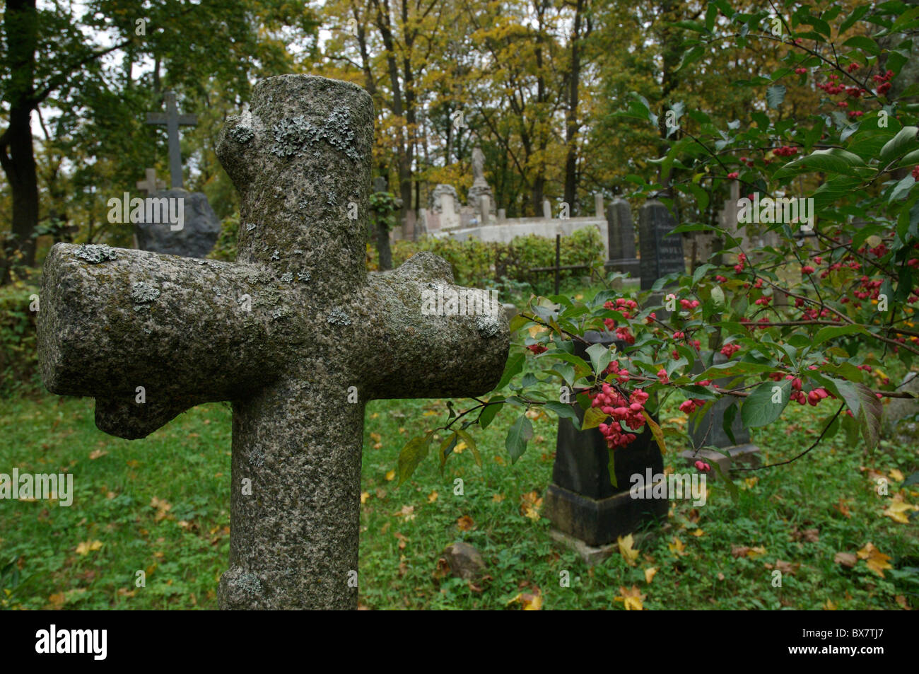 A stone cross, designed to mimic one made from a wooden log, marks a ...