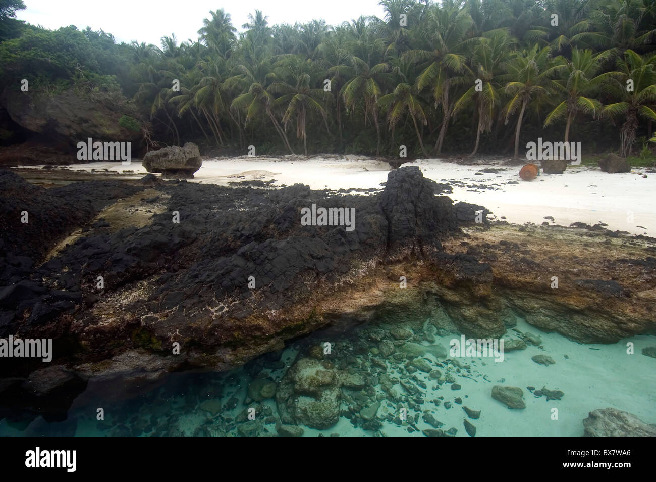 Rockpools White Sand And Coconut Palms At Remote Dolly Beach