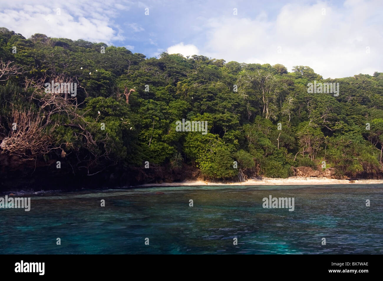 Reefs Beach And Forest At Ethel Cove Christmas Island National Park