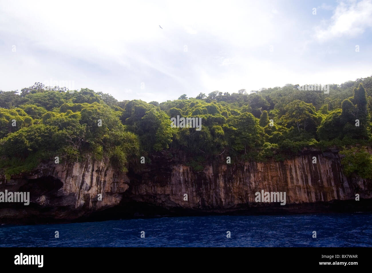 Cliffs of Christmas Island, Indian Ocean Stock Photo - Alamy